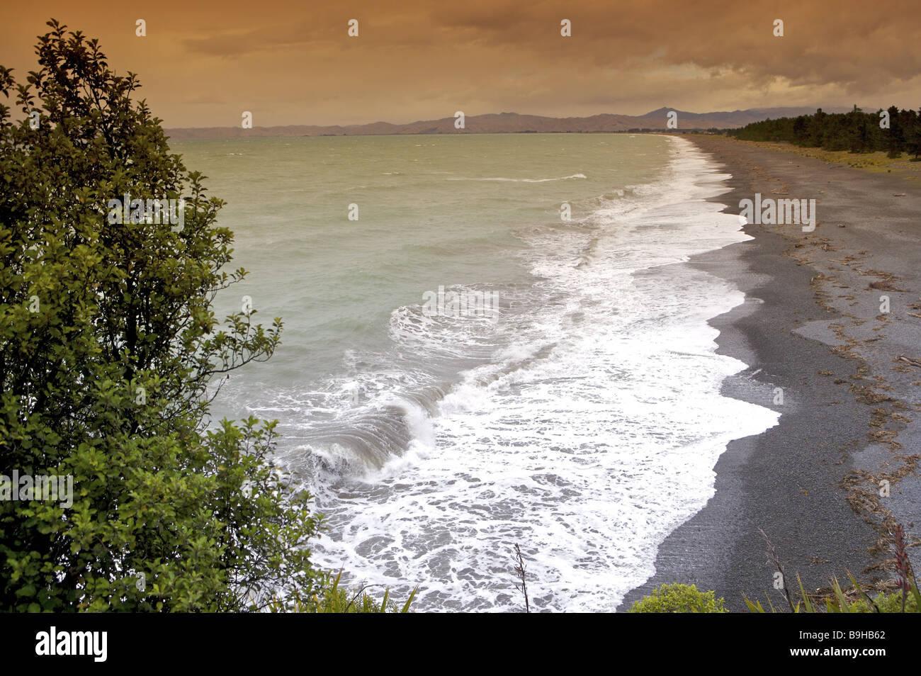 Rarangi High Resolution Stock Photography and Images - Alamy