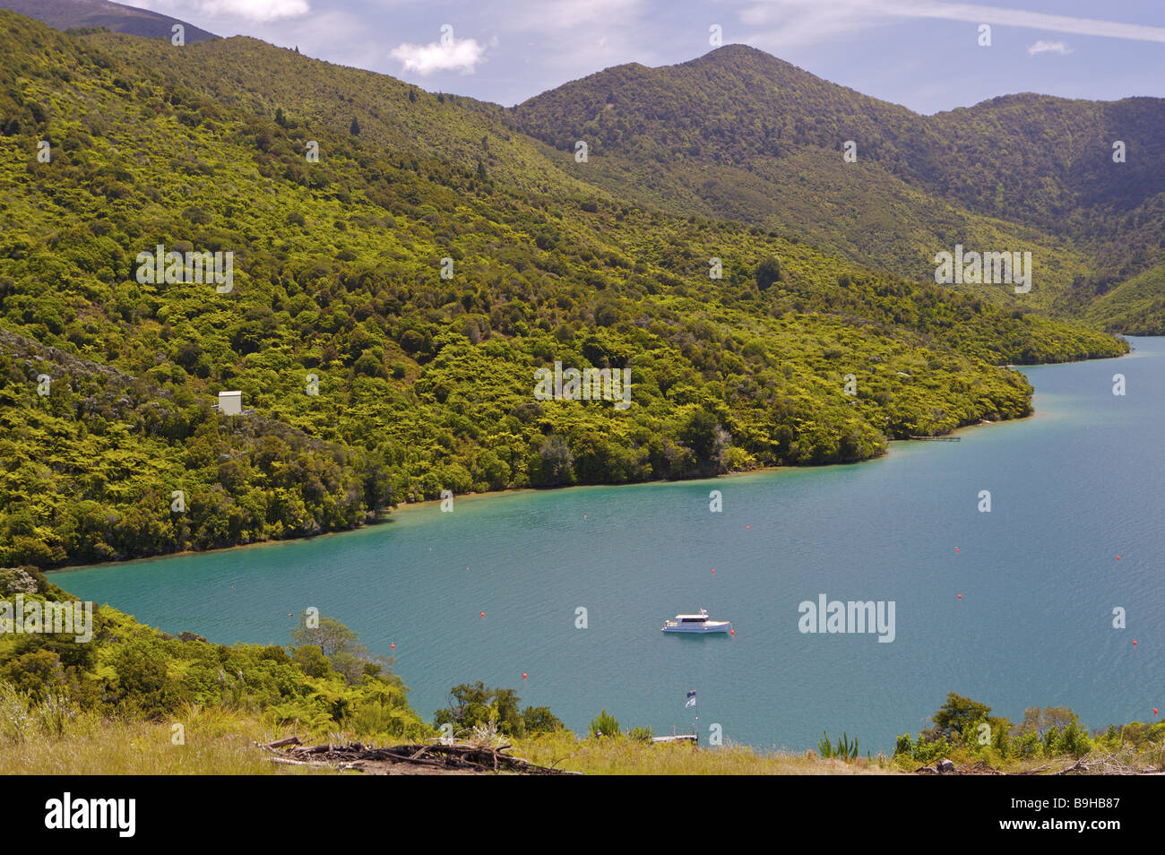 Endeavour Inlet Queen Charlotte Sound at Robert Bullock blog