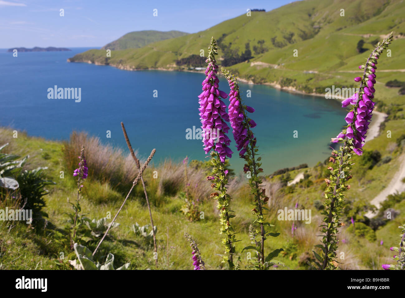 South thimble island hi-res stock photography and images - Alamy