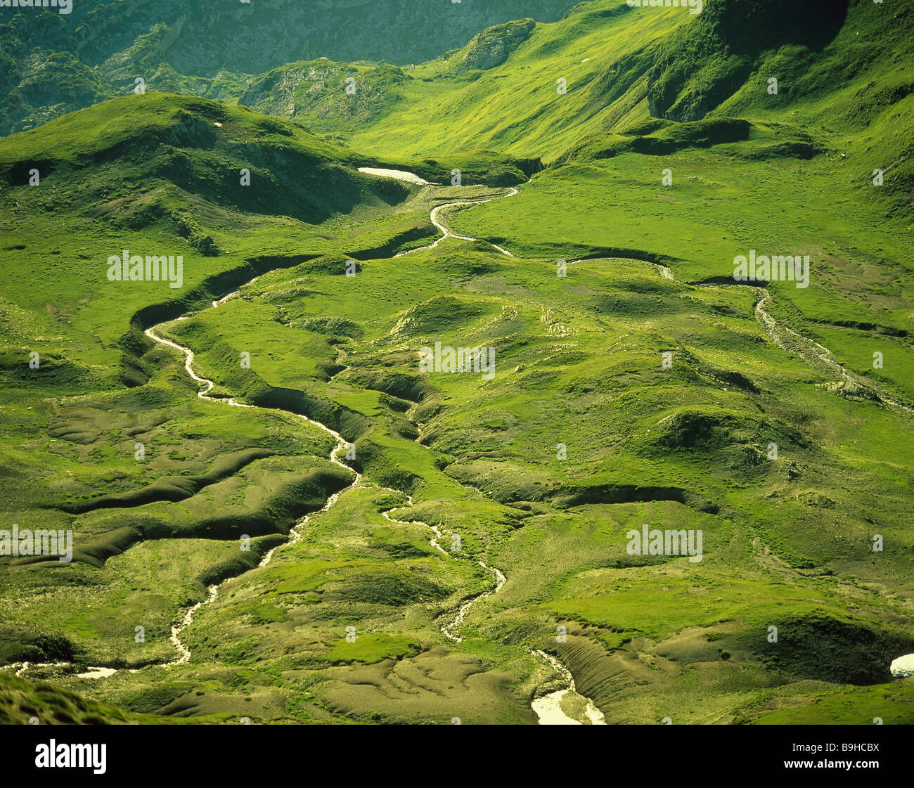 Austria Vorarlberg Lech am Arlberg headwaters Lech detail summer ...