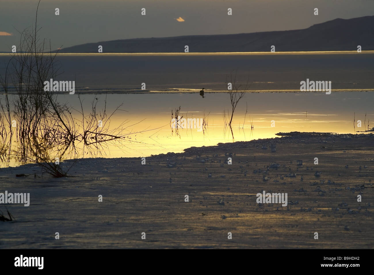 Willard utah hi-res stock photography and images - Alamy