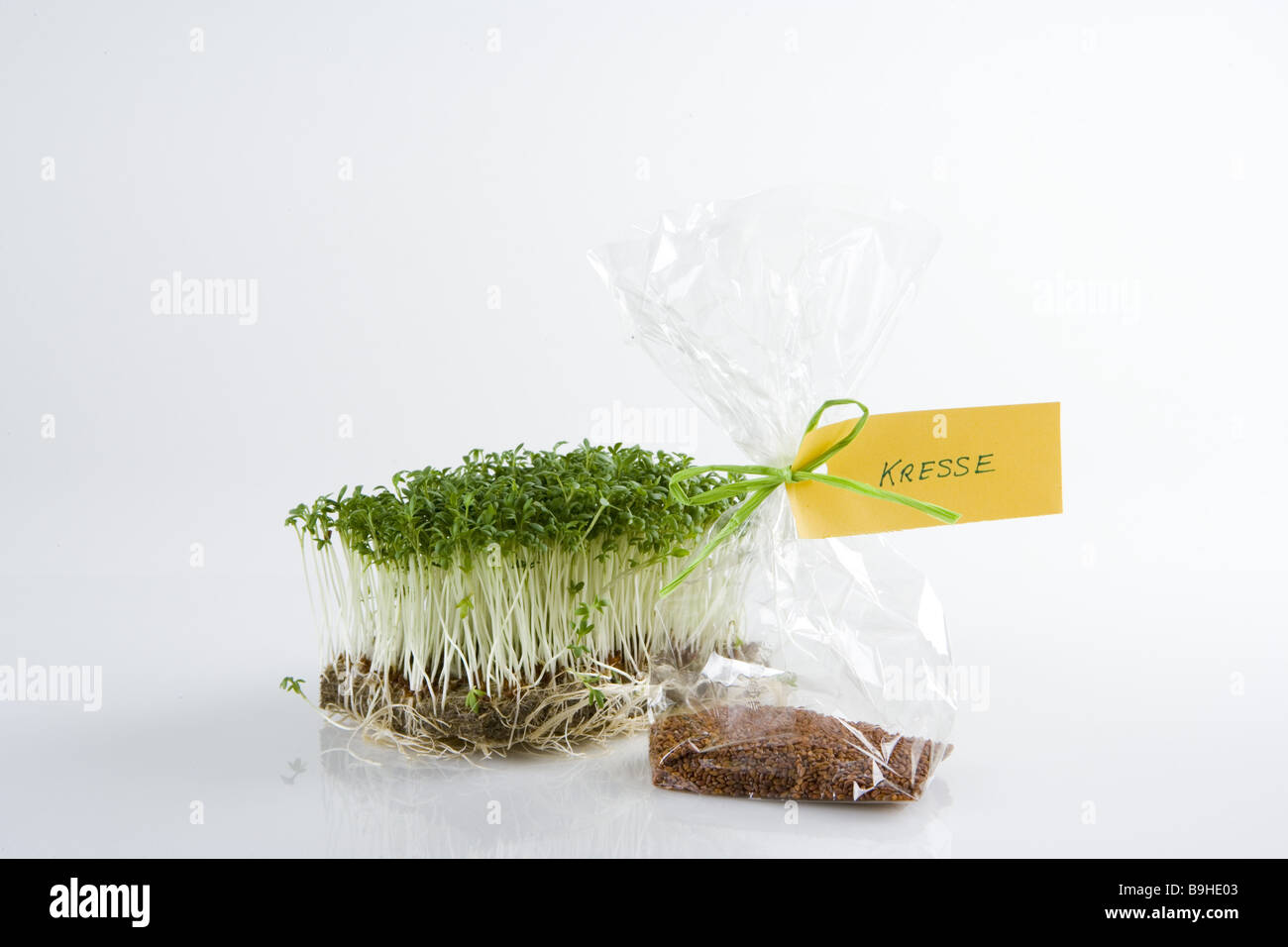 Cress breeding hi-res stock photography and images - Alamy