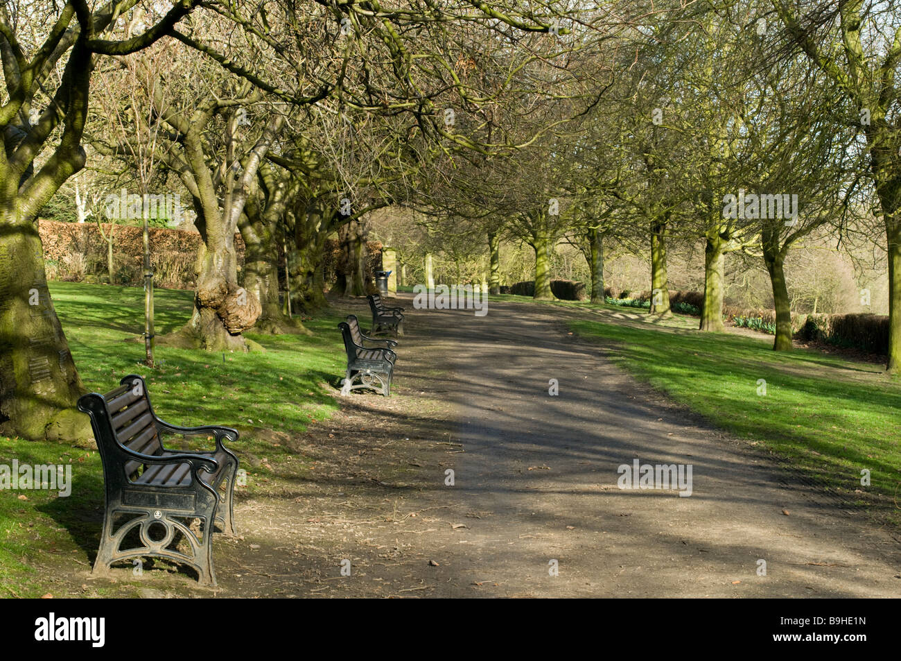 Shaded walk along path with benches Derbyshire England Stock Photo - Alamy