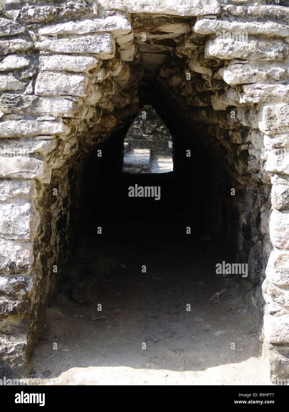 Mexico Yucatan Coba temple-installation ceremonial site ruins maya ...