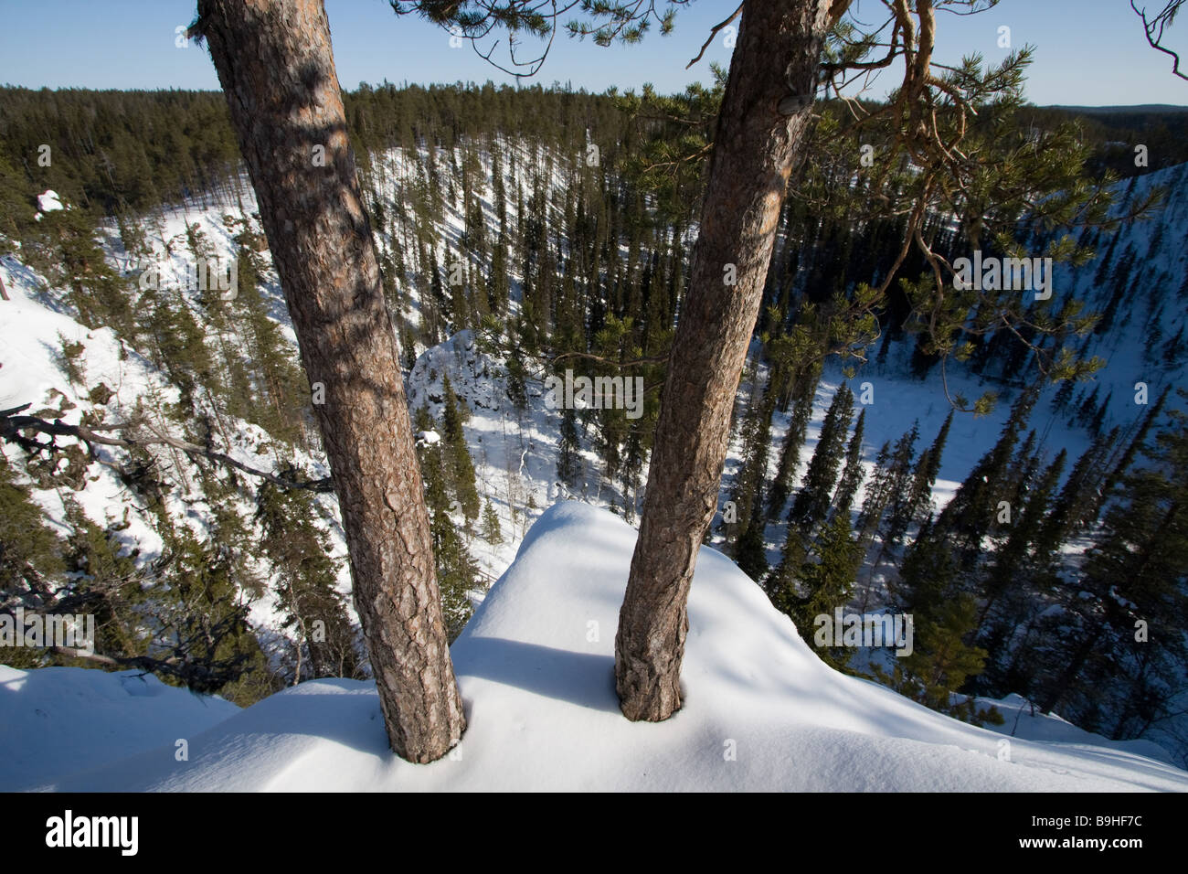 Winter in Oulanka National Park national park in Oulu and Lapland ...
