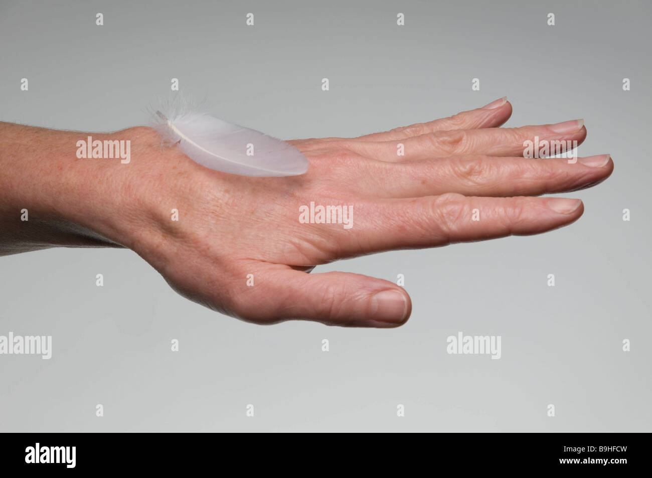 Hand and feather hi-res stock photography and images - Alamy