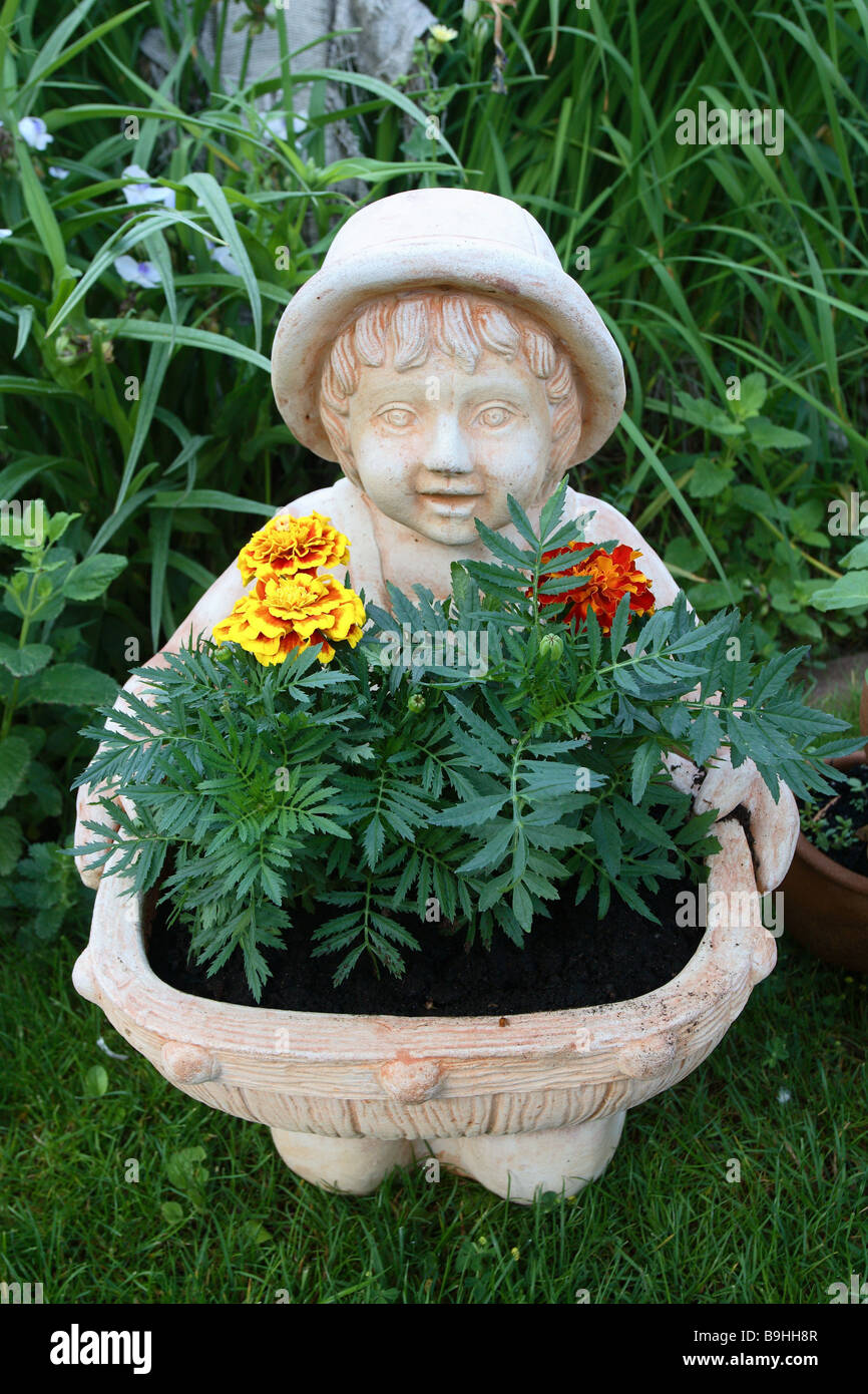 Plants with flowers hi-res stock photography and images - Alamy