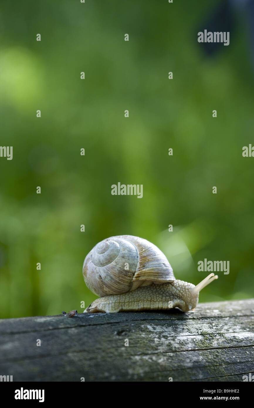 Snail shaped house hi-res stock photography and images - Alamy