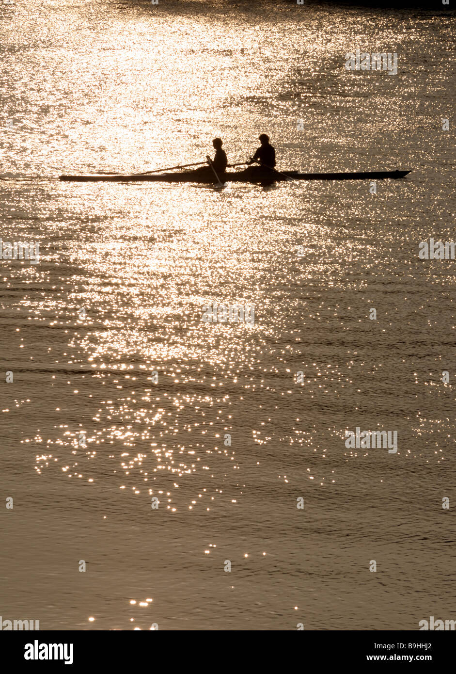 Rowing on the River Severn Shrewsbury Shropshire Stock Photo - Alamy