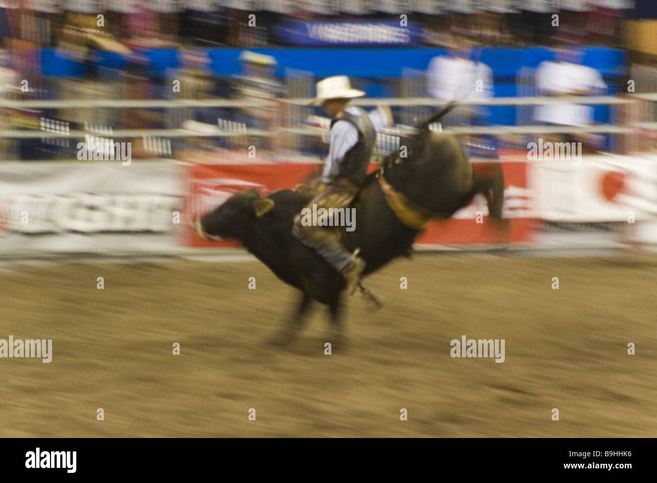 Cowboy rodeo Bullriding Stock Photo - Alamy