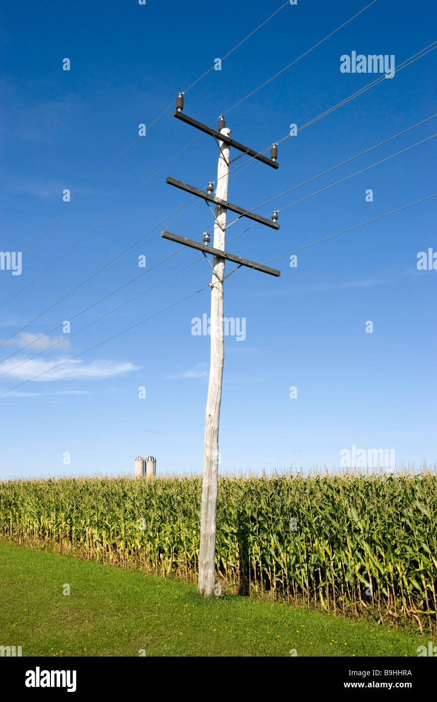 Pole corn hi-res stock photography and images - Alamy