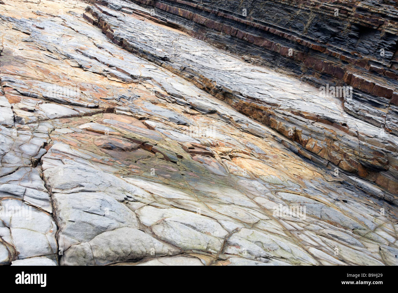 Sandymouth rock detail hi-res stock photography and images - Alamy