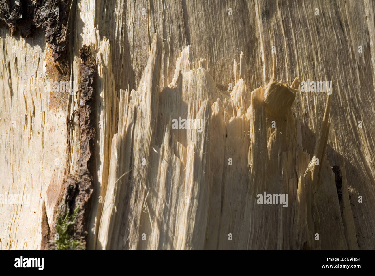 Broken off hi-res stock photography and images - Alamy