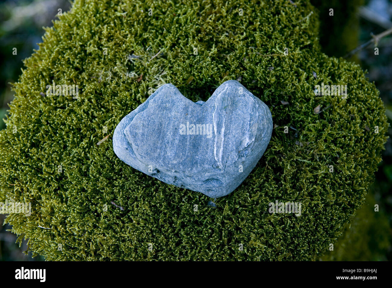 Naturally shaped heart stone hi-res stock photography and images - Alamy