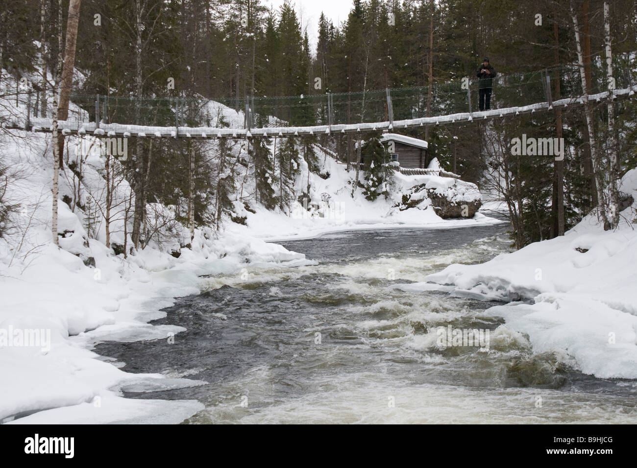 Winter in Oulanka National Park national park in Oulu and Lapland ...