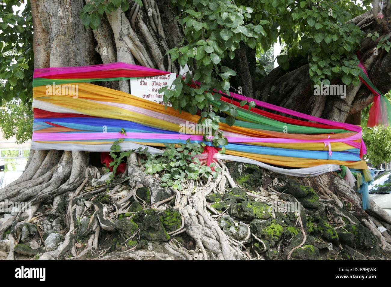 Thailand Nakhon Pathom tree ribbons colorfully Buddhism Asian Asia ...