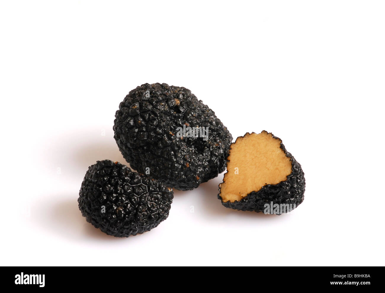 Fruehlingstrueffel hi-res stock photography and images - Alamy