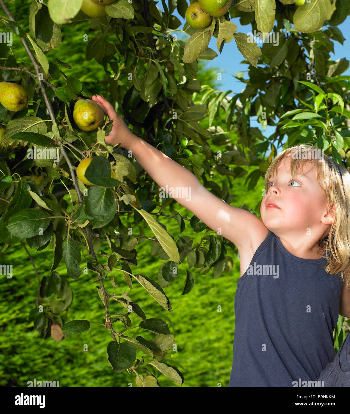 Snatching Child High Resolution Stock Photography and Images - Alamy
