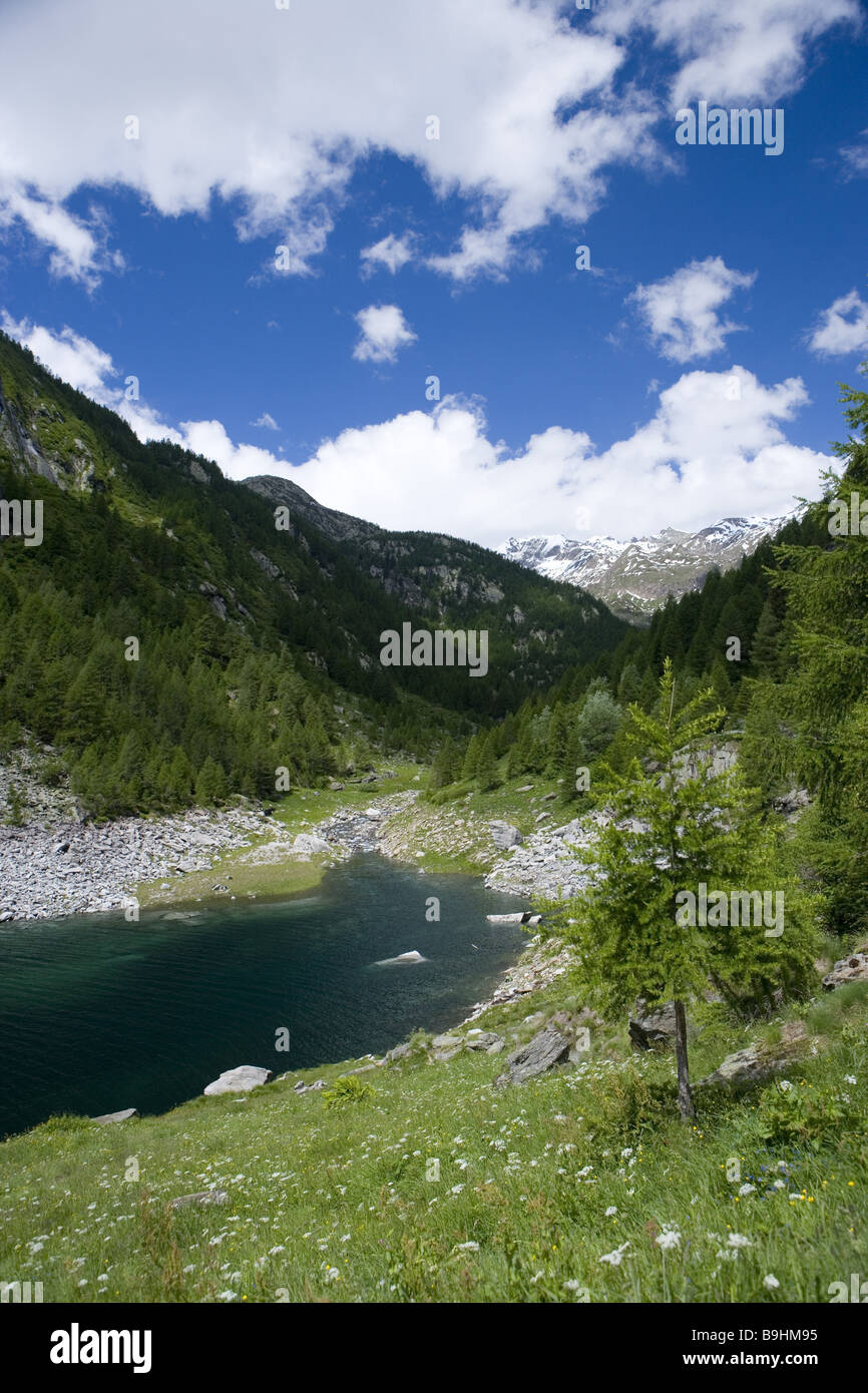 Switzerland tessin valle maggia val hi-res stock photography and images ...