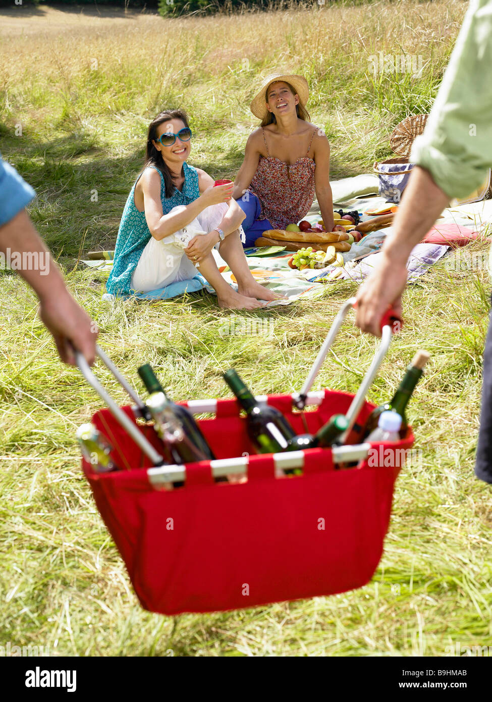 Friends having a picnic in a field Stock Photo - Alamy