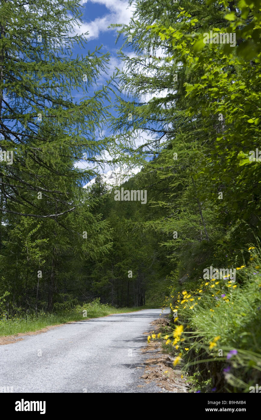 Switzerland tessin valle maggia val hi-res stock photography and images ...