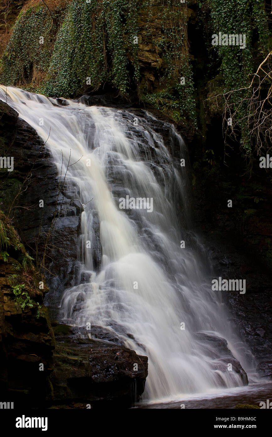 Portrait view of stunning waterfall at Hareshaw lynn burn Bellingham ...