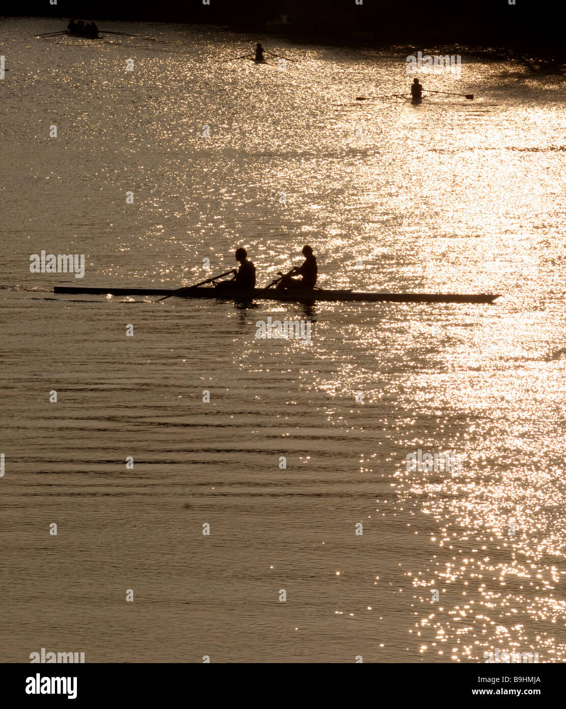 Sporting shropshire hi-res stock photography and images - Alamy