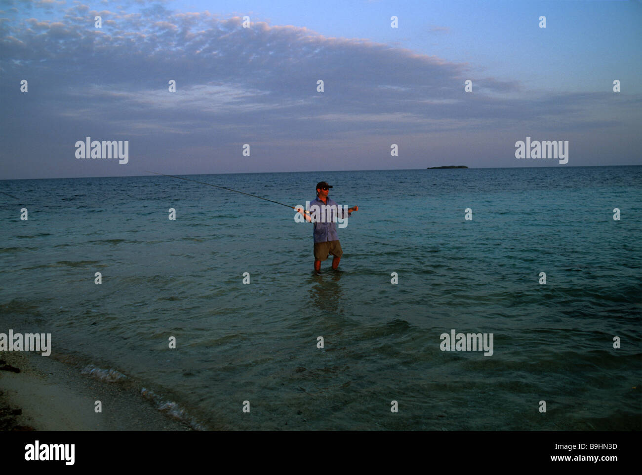 Bonefish bonefish hi-res stock photography and images - Alamy
