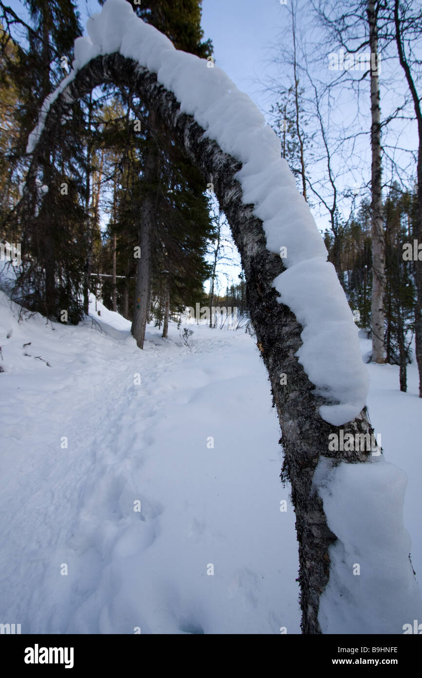 Winter in Oulanka National Park national park in Oulu and Lapland ...