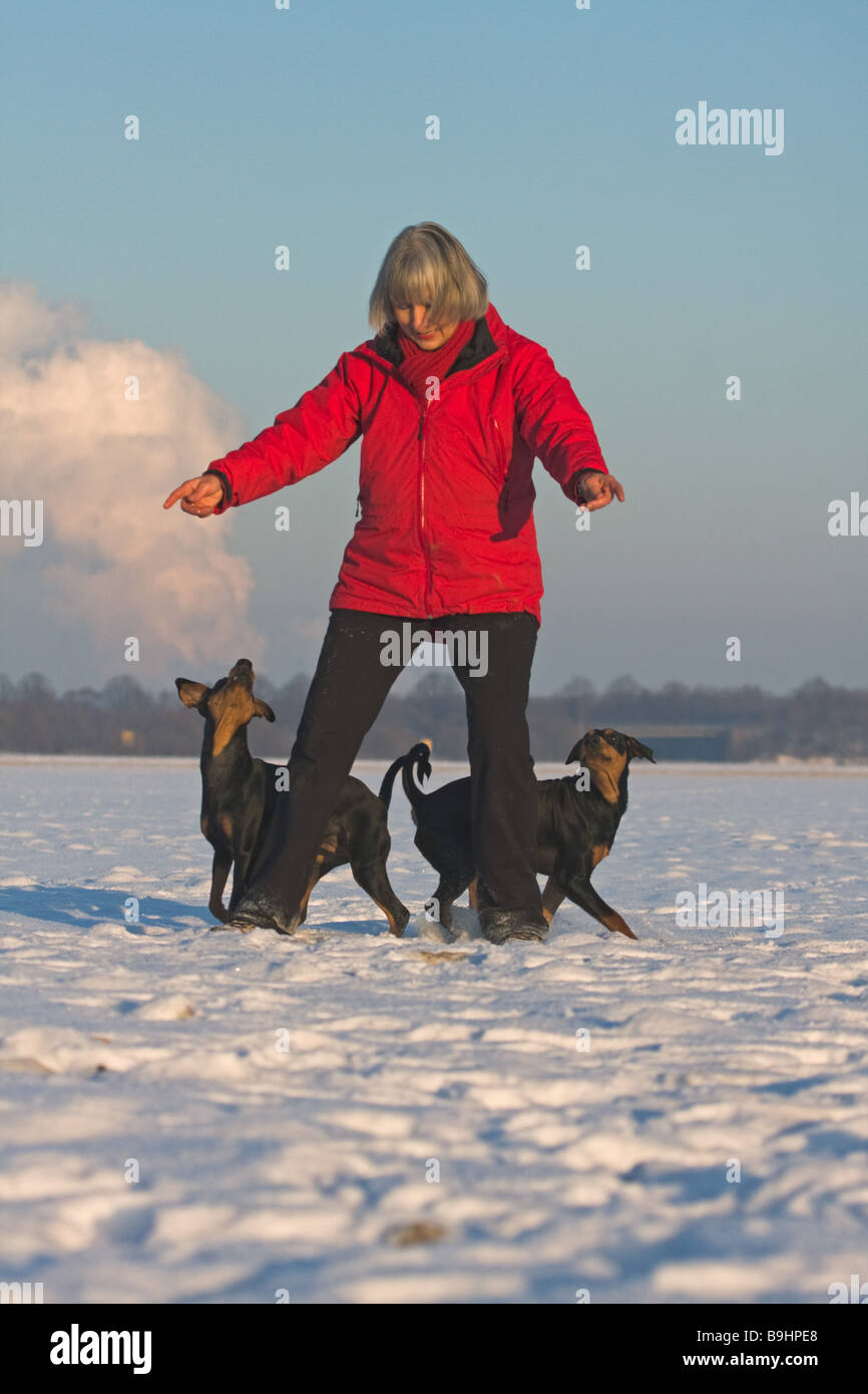 Two dogs dance hi-res stock photography and images - Alamy