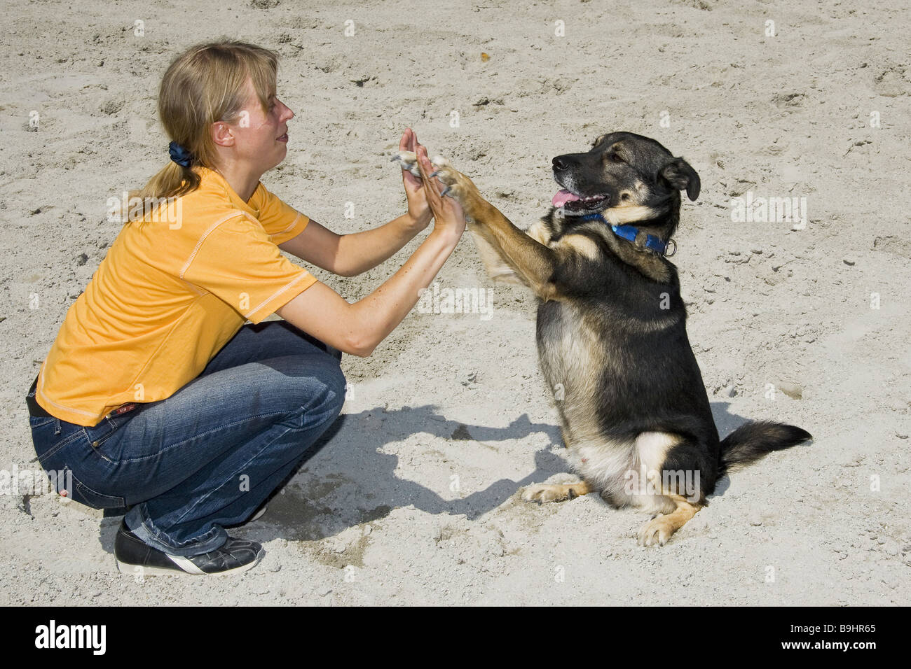 woman and half breed dog Stock Photo - Alamy