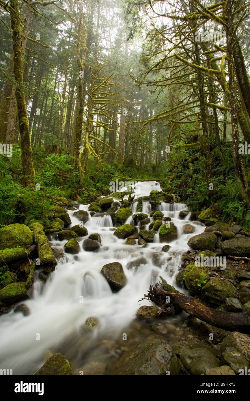 Waterfall in Wallace Falls State Park, Washington Stock Photo - Alamy