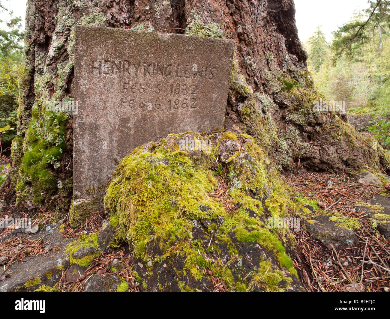 Seabeck High Resolution Stock Photography and Images - Alamy