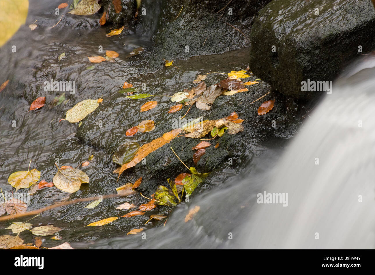 Slimy rocks hi-res stock photography and images - Alamy