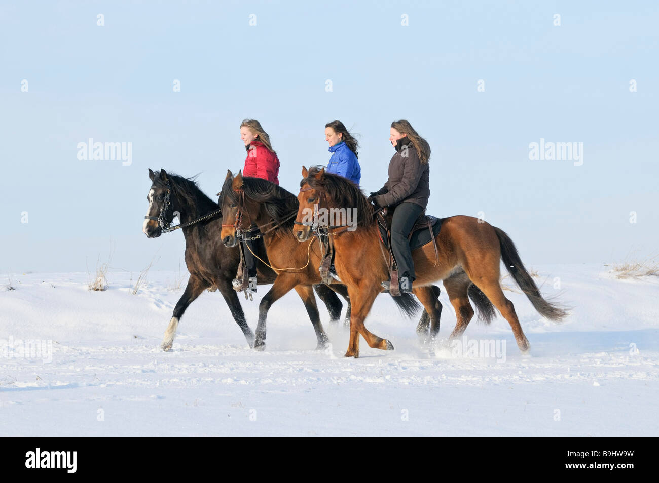 Three riders on horses hi-res stock photography and images - Alamy