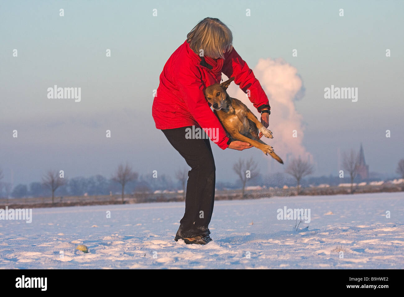 The dog is dancing hi-res stock photography and images - Alamy