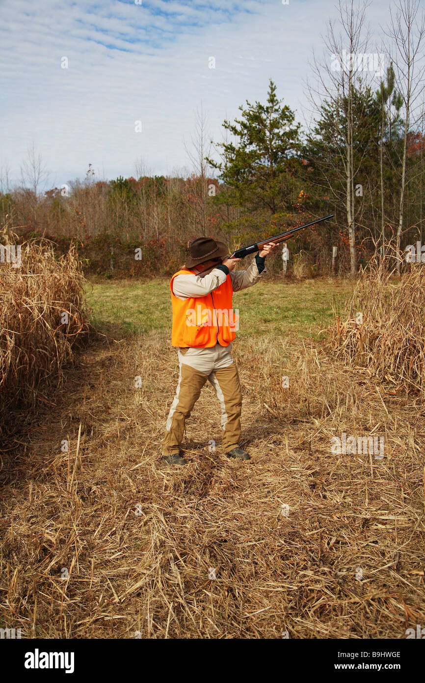 Bird hunter orange with vest shooting at a bird Hunter only Stock Photo ...