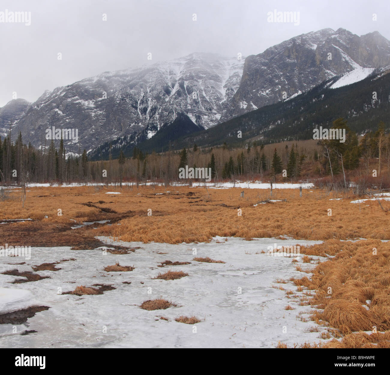 Covered elevation hi-res stock photography and images - Alamy