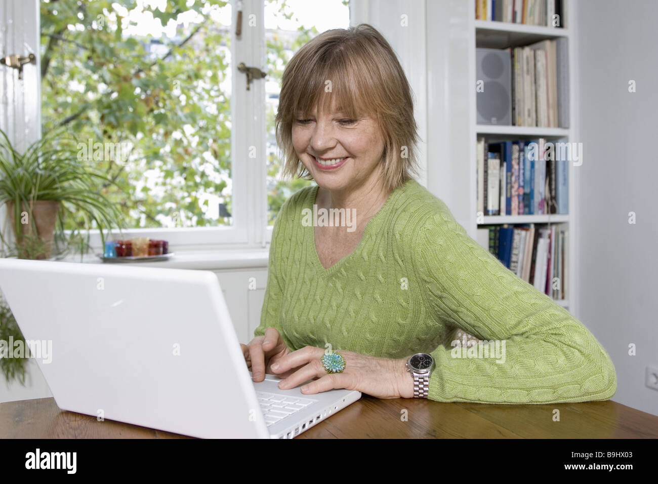 Senior laptop data input cheerfully detail series people seniors woman ...