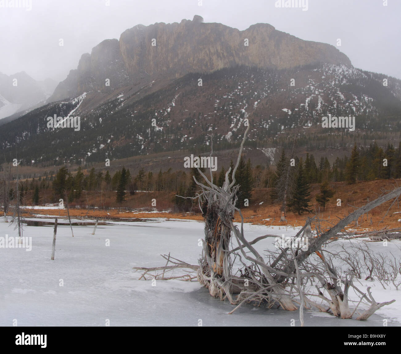 Yamnuska hi-res stock photography and images - Alamy