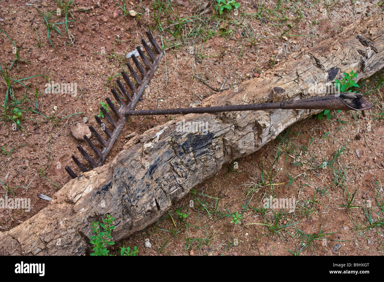 Old rusty garden fork hi-res stock photography and images - Alamy
