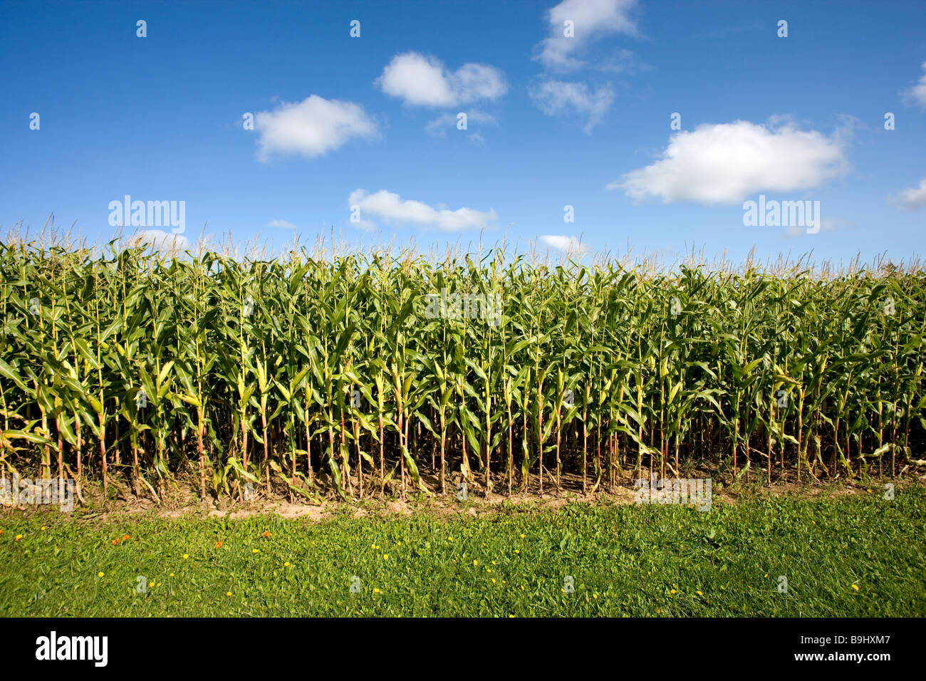 Grey County Ontario High Resolution Stock Photography and Images - Alamy