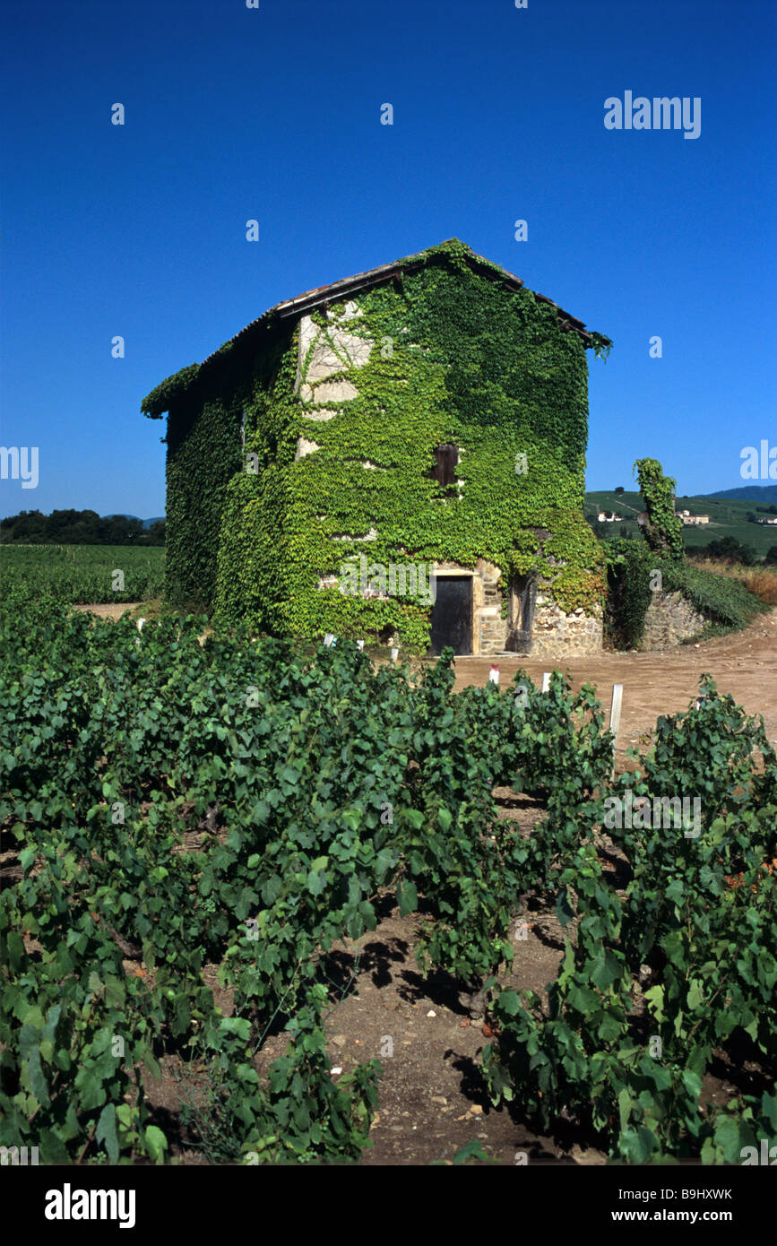 Stone cabanon hi-res stock photography and images - Alamy