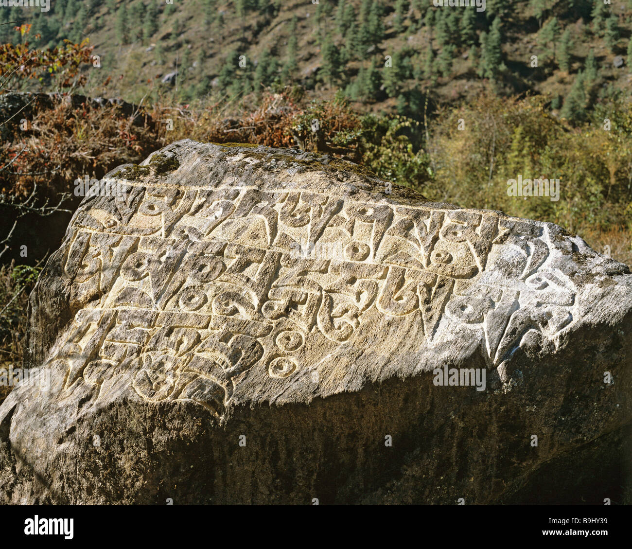Nepal relief work hi-res stock photography and images - Alamy