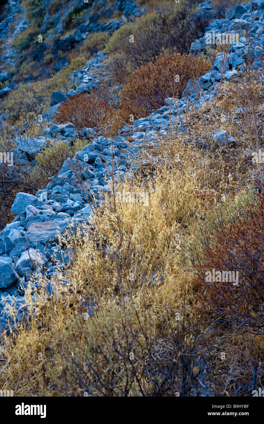 Burnt hillside hi-res stock photography and images - Alamy