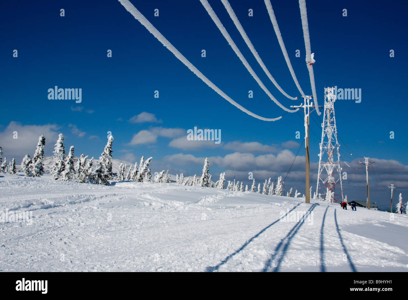 Electricity power line with frost crystals Stock Photo - Alamy