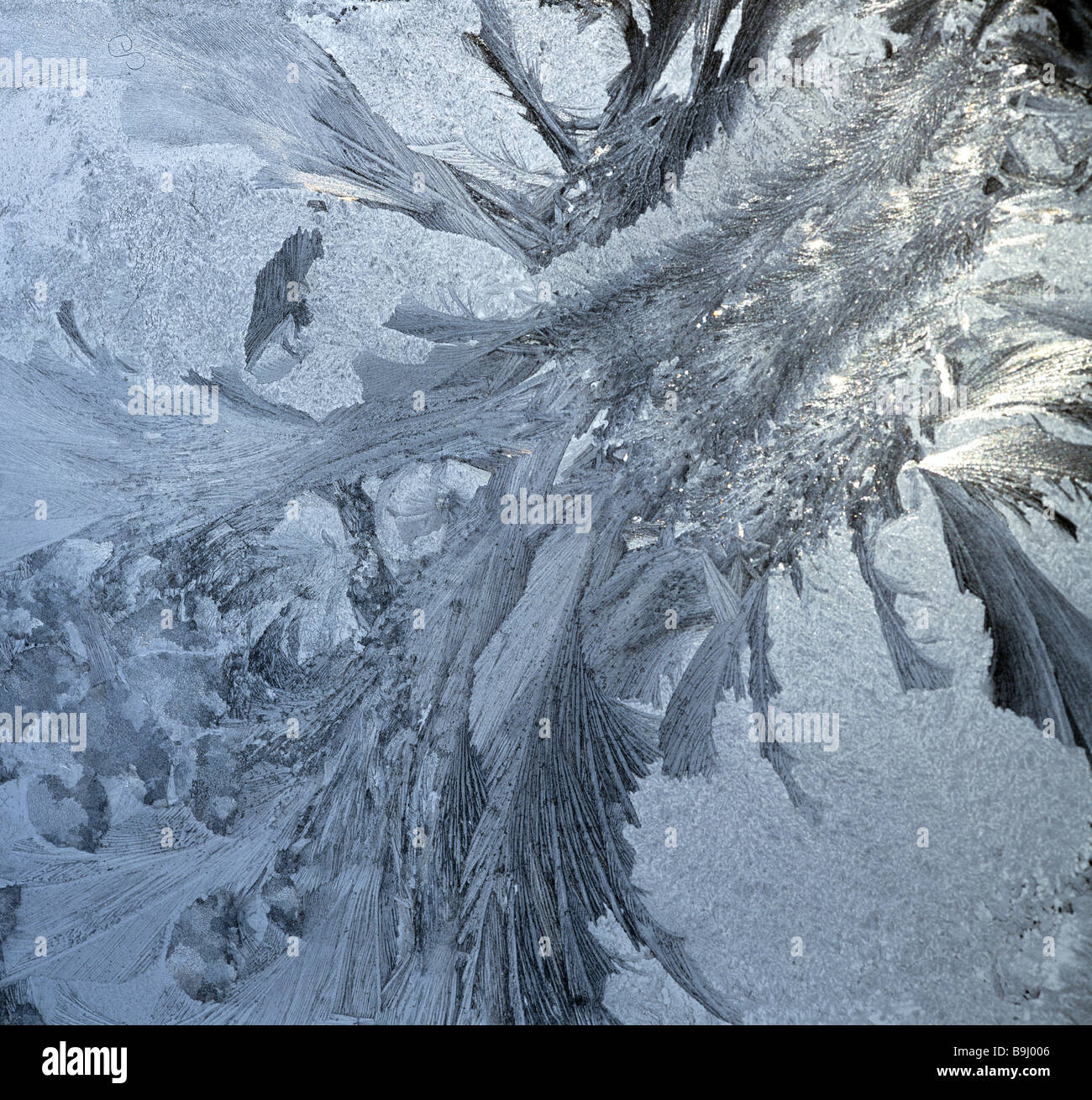 Photo frozen window ice hi-res stock photography and images - Alamy