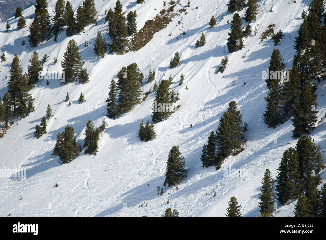 Treeline hillside hi-res stock photography and images - Alamy