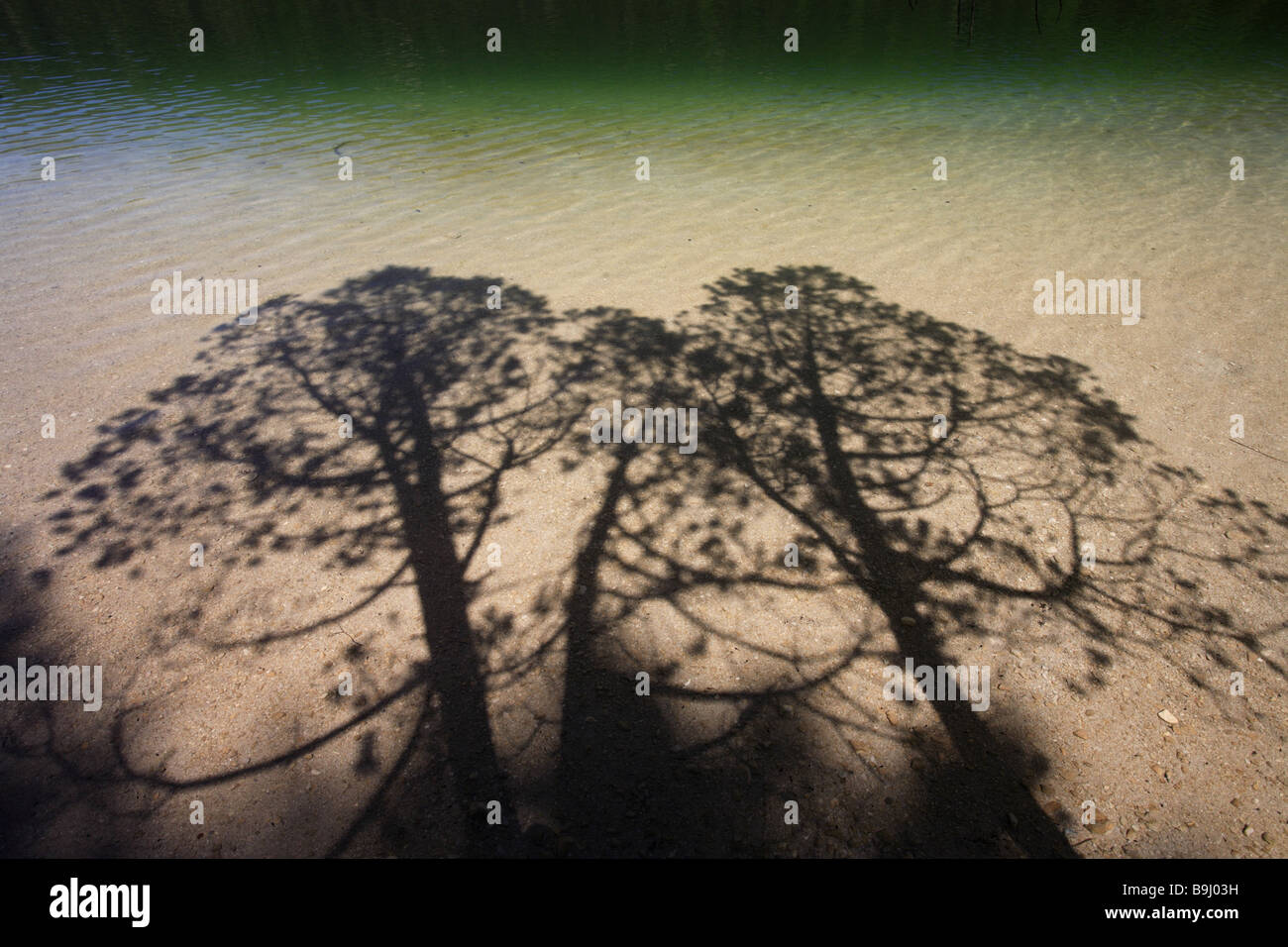 Lake ferchen hi-res stock photography and images - Alamy