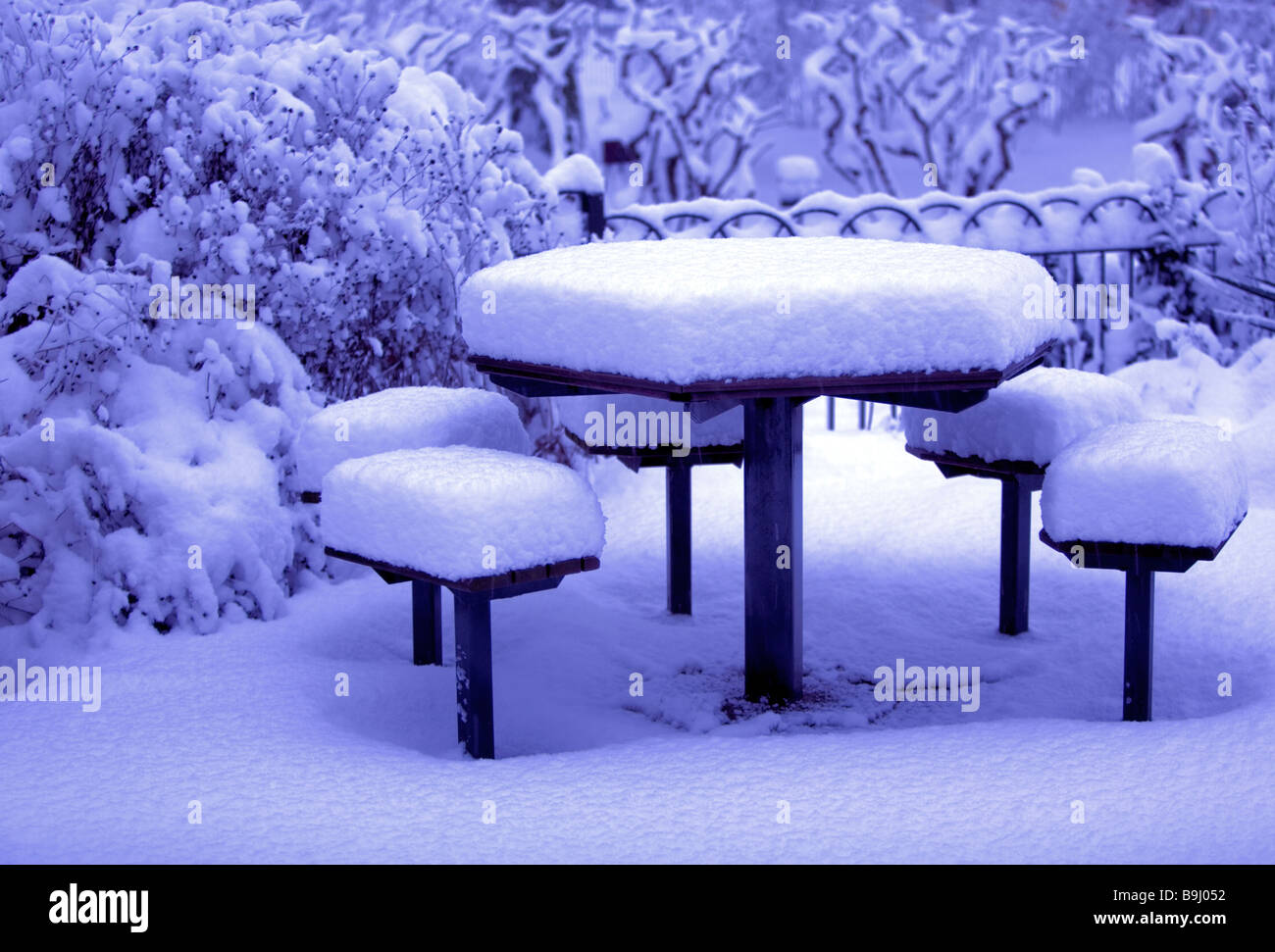 Tinted blue image emphasises coldness hi-res stock photography and ...